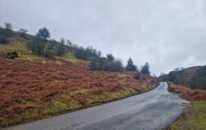 Gospel Pass: Cycling Guide to the Highest Road in Wales